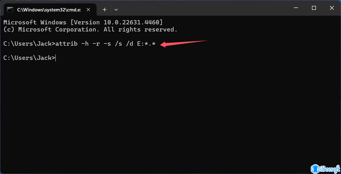 How to Show Hidden Files in USB
