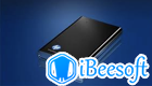 iBeesoft Data Recovery and Data Erasure Solutions