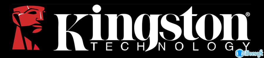 Kingston Recovery: Recover Kingston SSD/USB/SD Card Data