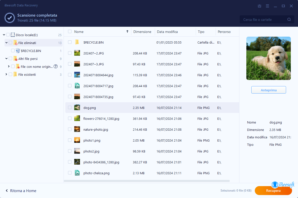 Recupero Dati SD: Recuperare foto e video da una scheda SD